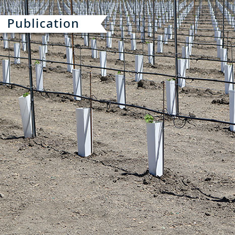 Publications | Texas A&M AgriLife Learn