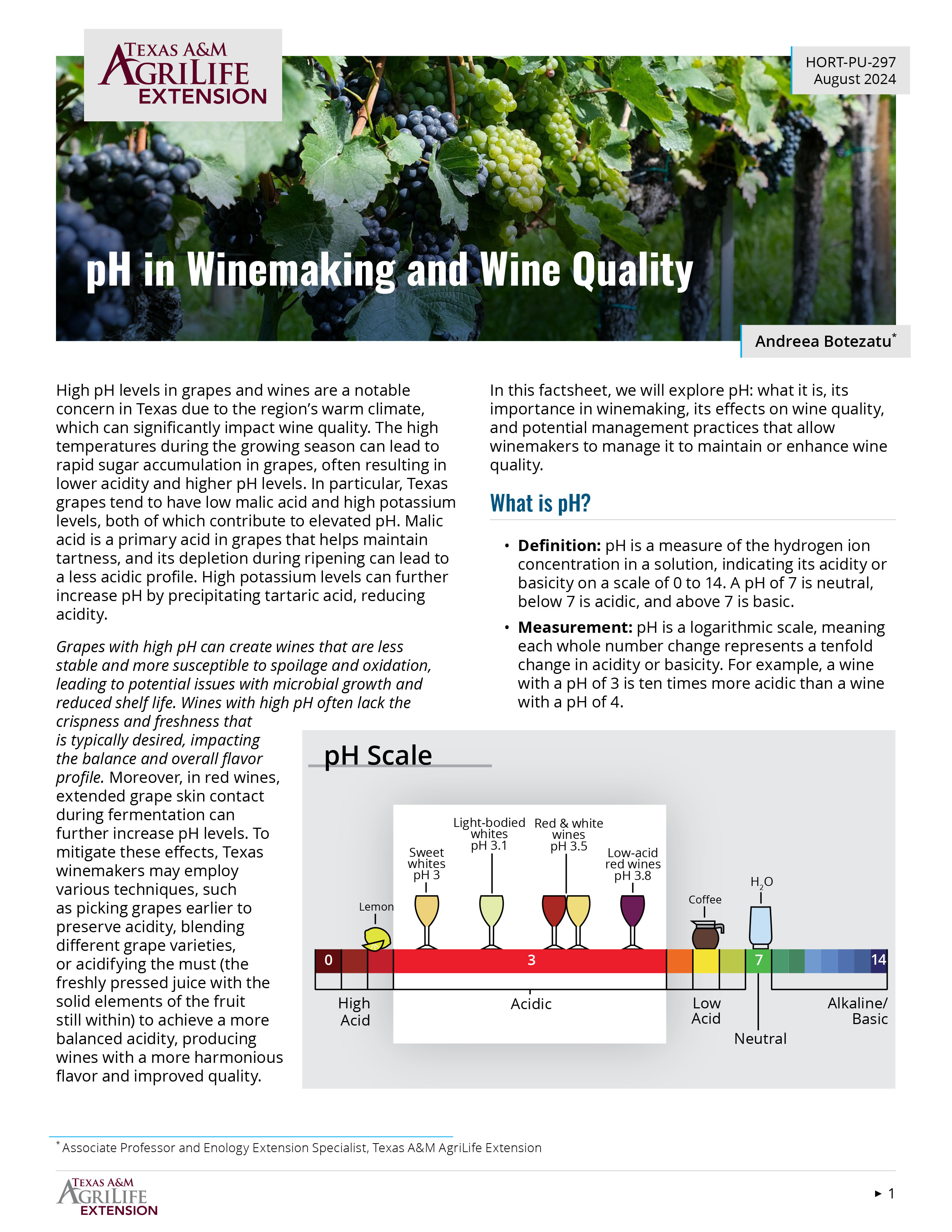 pH in Winemaking and Wine Quality | Publications | AgriLife Learn
