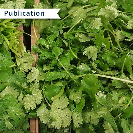 Plants & Crops | Texas A&M AgriLife Learn