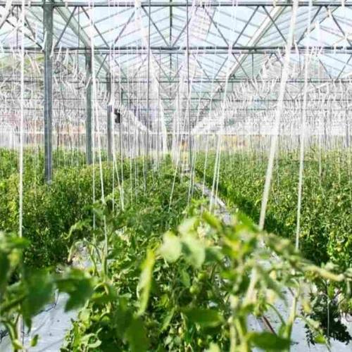 Introductory Employee Training Program for Greenhouse Crop Production ...
