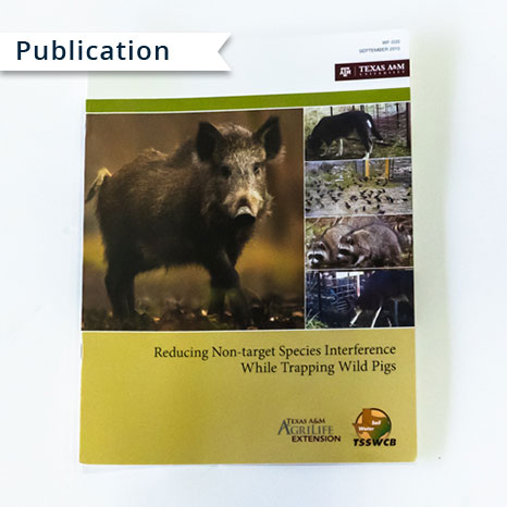 Environment & Natural Resources | Texas A&M AgriLife Learn