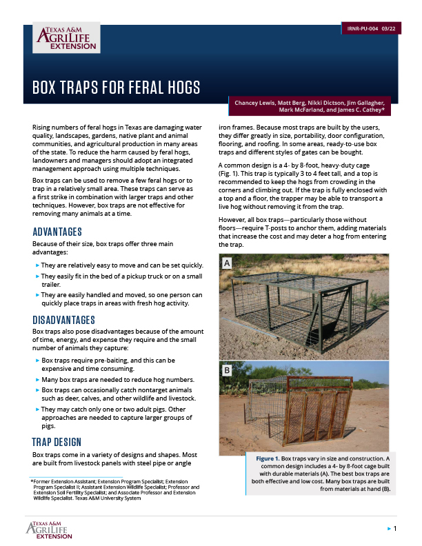 Box Traps for Feral Hogs | Publications | AgriLife Learn