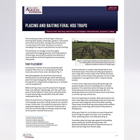 Placing and Baiting Feral Hog Traps | Publications | AgriLife Learn