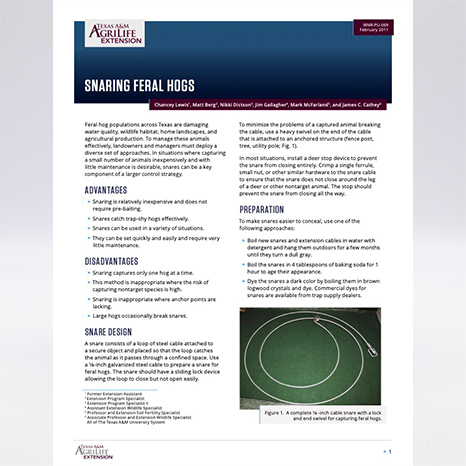Snaring Feral Hogs | Publications | AgriLife Learn