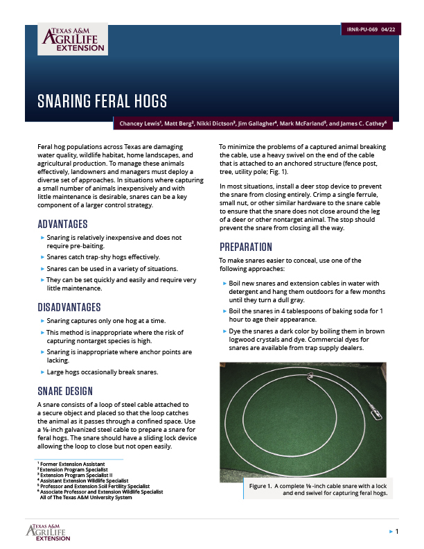 Snaring Feral Hogs | Publications | AgriLife Learn