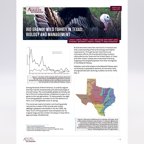 Rio Grande Wild Turkey in Texas: Biology and Management | Publications ...