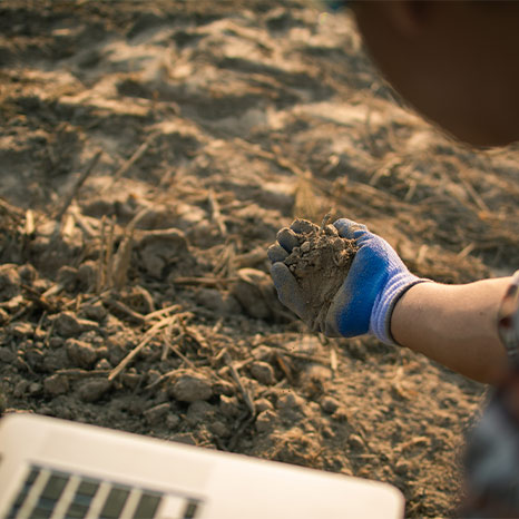 Quick Facts: Types of Soil Tests Factsheet | Publications | AgriLife Learn