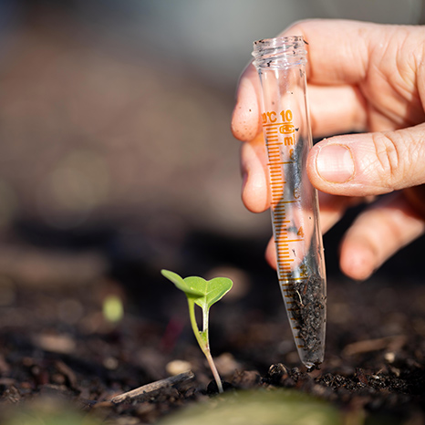Digging into Soil Chemical Properties | Courses | AgriLife Learn