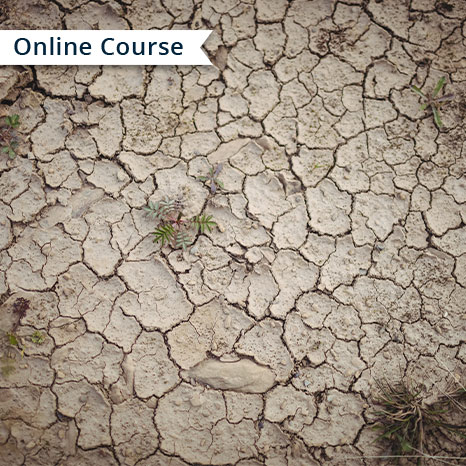 Courses | Texas A&M AgriLife Learn