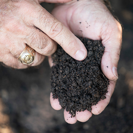 Full Series Bundle: Digging Into Soil Properties (Intro, Physical ...