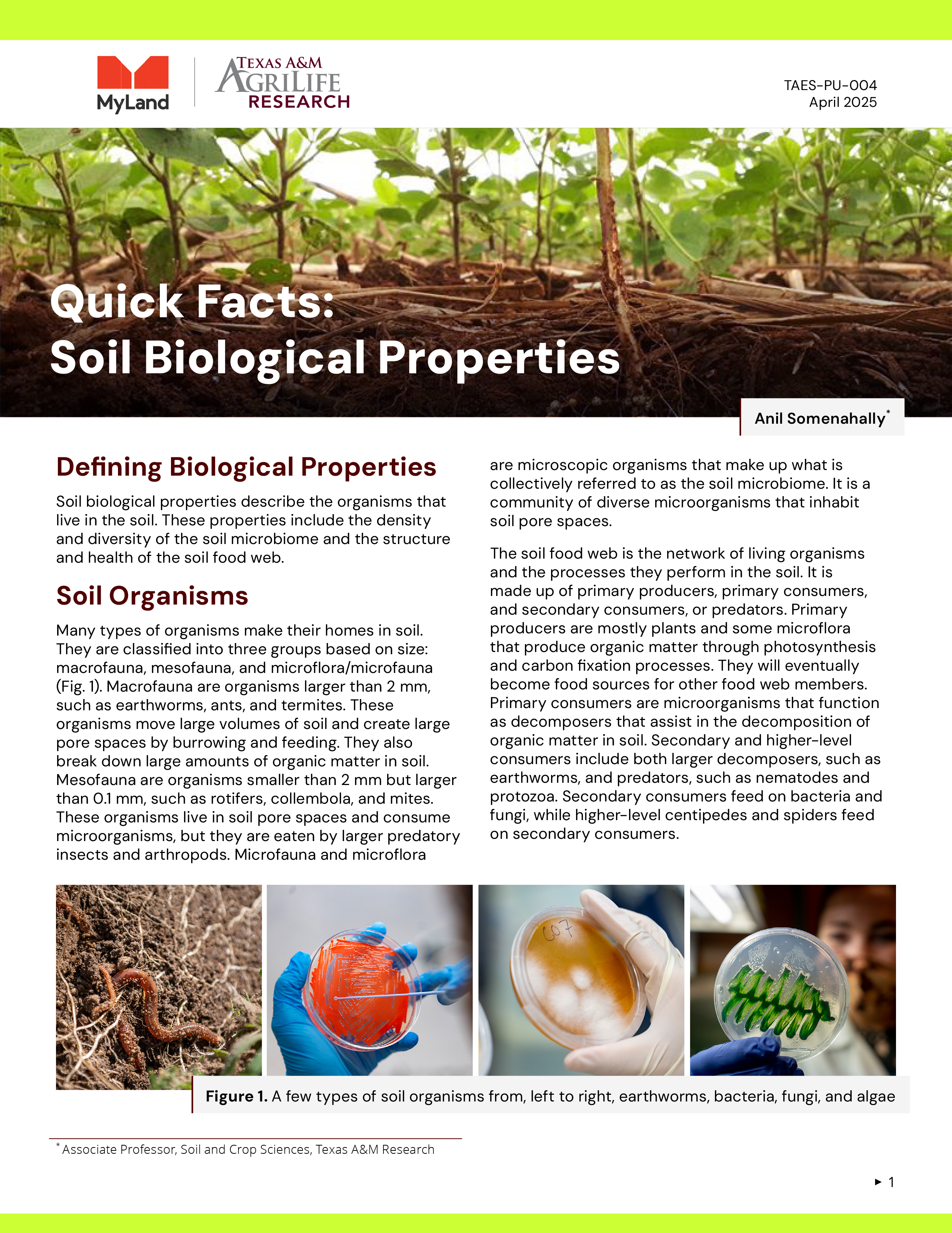 Quick Facts: Soil Biological Properties Factsheet | Publications ...