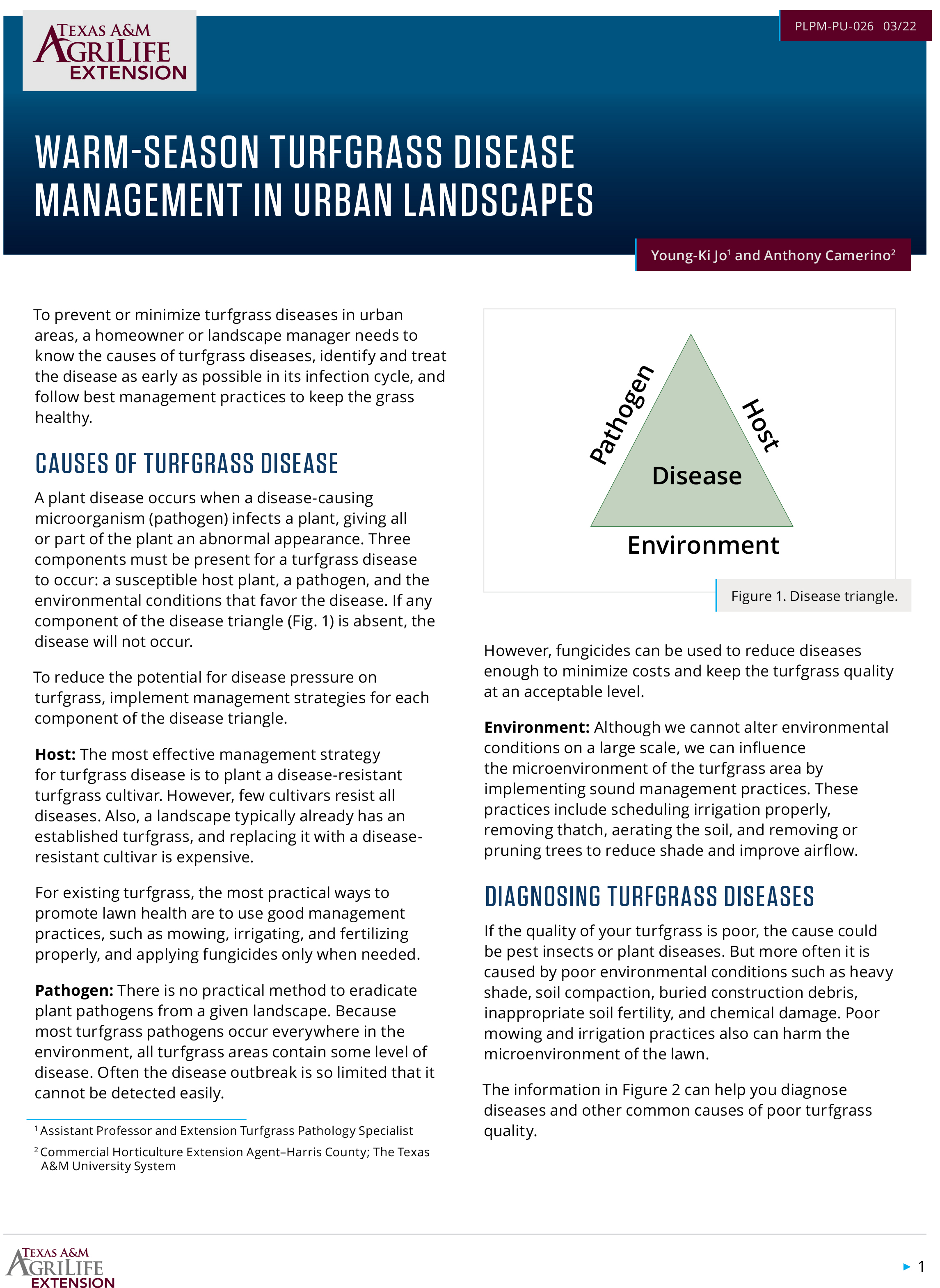 Warm-Season Turfgrass Disease Management in Urban Landscapes ...