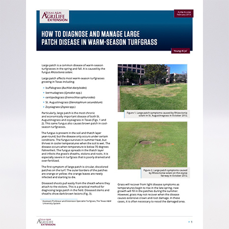 How to Diagnose and Manage Large Patch Disease in Warm-Season Turfgrass ...