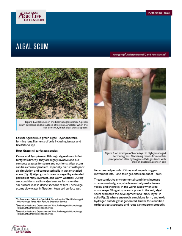 Algal Scum | Publications | AgriLife Learn