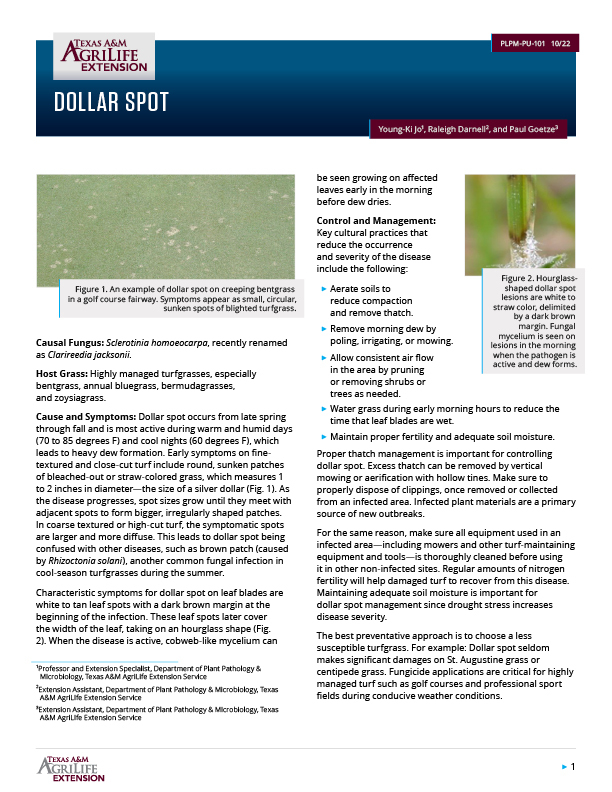 Plant Disease Handbook: Dollar Spot | Publications | AgriLife Learn