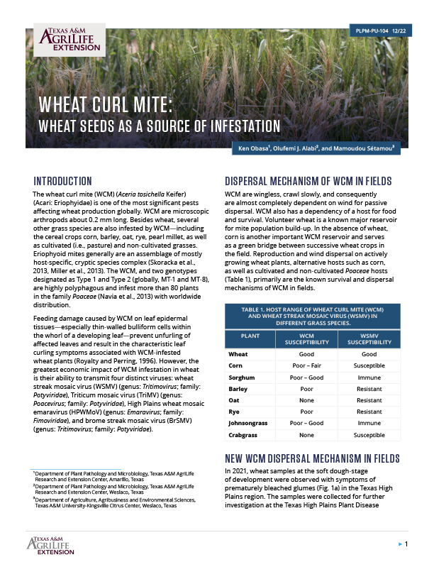 Wheat Curl Mite: Wheat Seeds as Source of Infestation | Publications ...