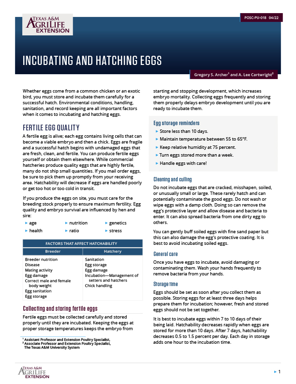 Incubating and Hatching Eggs | Publications | AgriLife Learn