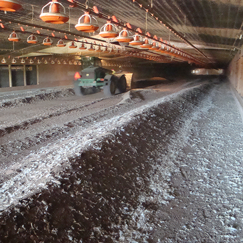 In-House Windrow Composting of Poultry Litter | Publications | AgriLife ...