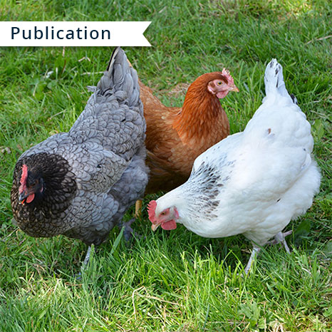 Animals and Livestock | Texas A&M AgriLife Learn