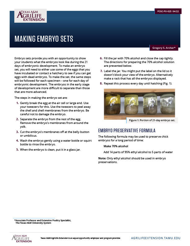 Making Embryo Sets | Publications | AgriLife Learn