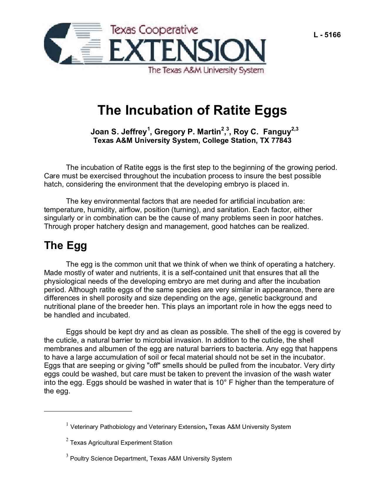 The Incubation of Ratite Eggs | Publications | AgriLife Learn