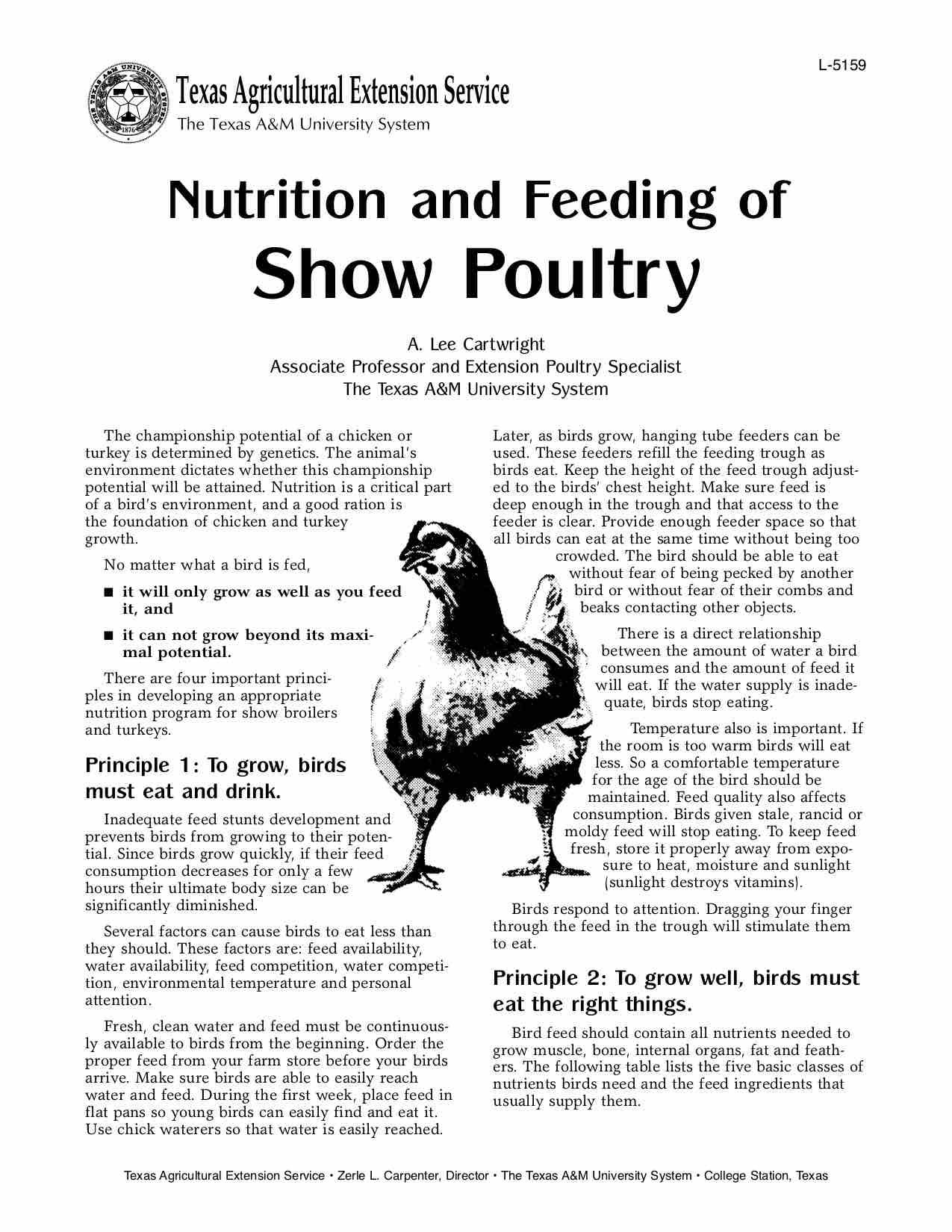 Nutrition and Feeding of Show Poultry | Publications | AgriLife Learn