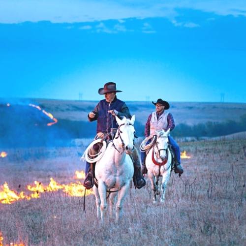 Prescribed Burn School | Courses | AgriLife Learn