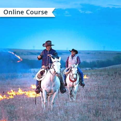 Discover Ranch and Rangeland Resources | Texas A&M AgriLife Learn