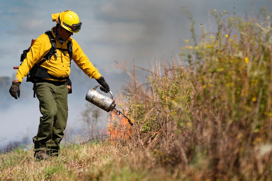 Texas A&M AgriLife Learn | Courses, Publications, and Merchandise