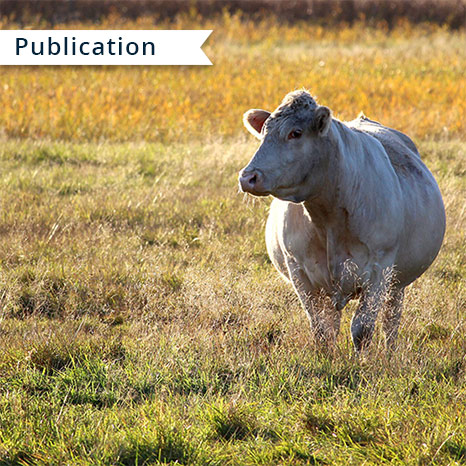 Animals & Livestock | Texas A&M AgriLife Learn