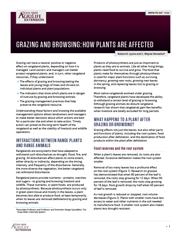 Grazing and Browsing: How Plants are Affected | Publications | AgriLife ...