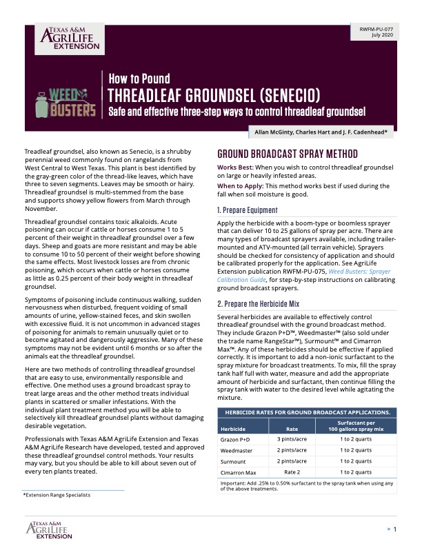 Weed Busters: How to Pound Threadleaf Groundsel | Publications ...