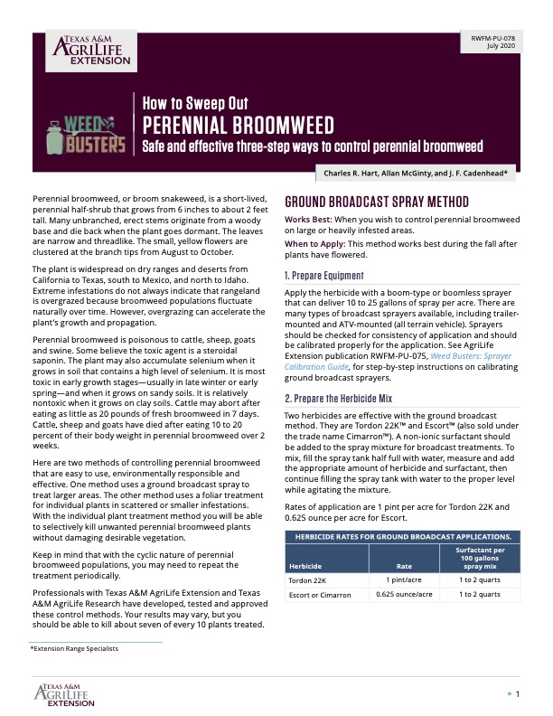 Weed Busters: How to Sweep Out Perennial Broomweed | Publications ...