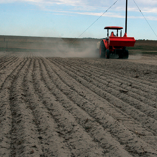 Reseeding Natives in South Texas: Site Preparation | Publications ...