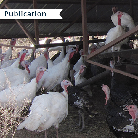 Business Development | Texas A&M AgriLife Learn