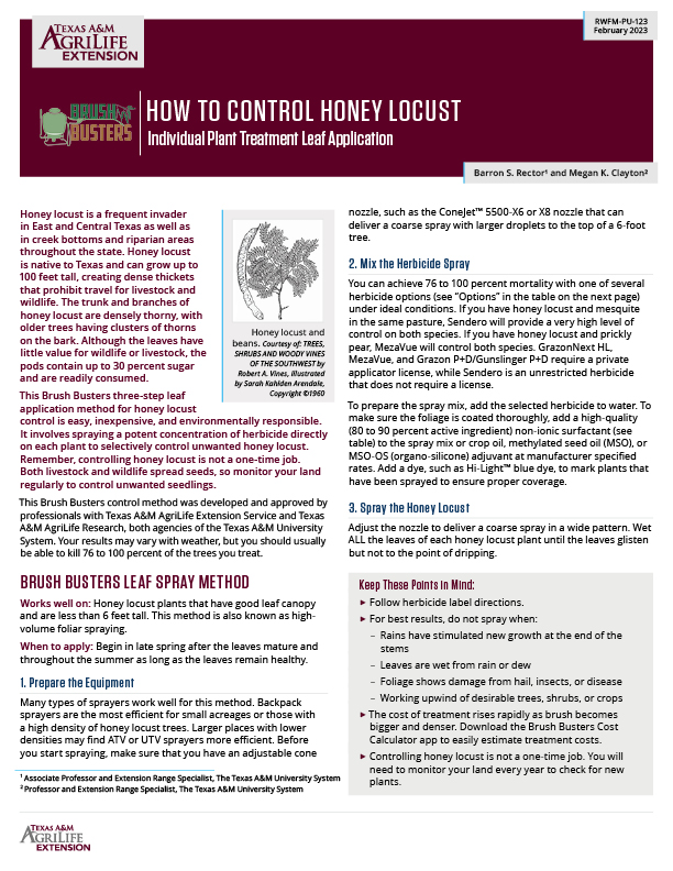How to Control Honey Locust | Publications | AgriLife Learn