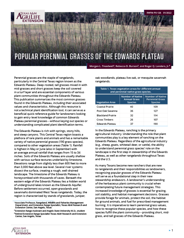 Popular Perennial Grasses of the Edwards Plateau | Publications ...