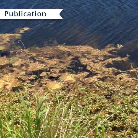 Liming and Clearing Ponds | Texas A&M AgriLife Learn