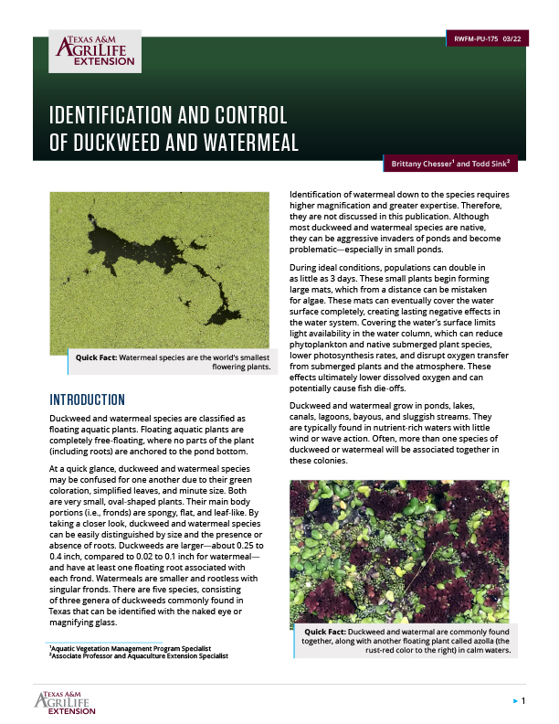 Identification and Control of Duckweed & Watermeal | Publications ...
