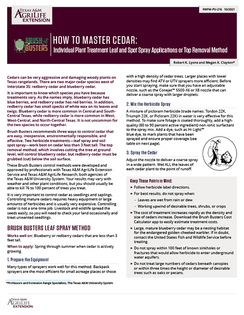 How to Master Cedar: Individual Plant Treatment Leaf and Spot Spray ...