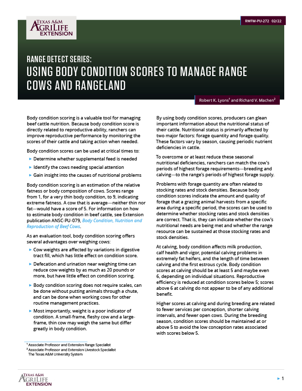Using Body Condition Scores To Manage Range Cows And Rangeland Publications Agrilife Learn