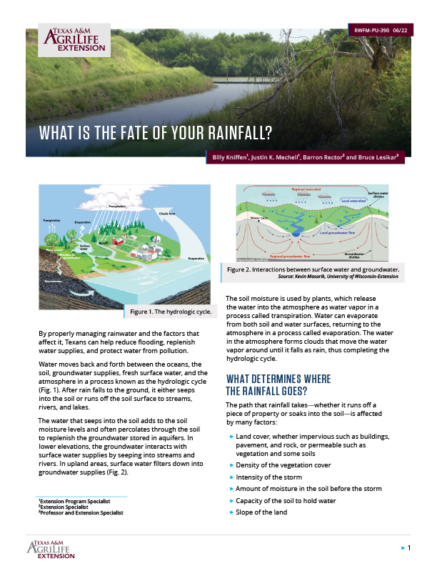 What is the Fate of Your Rainfall? Fact Sheet | Publications | AgriLife ...