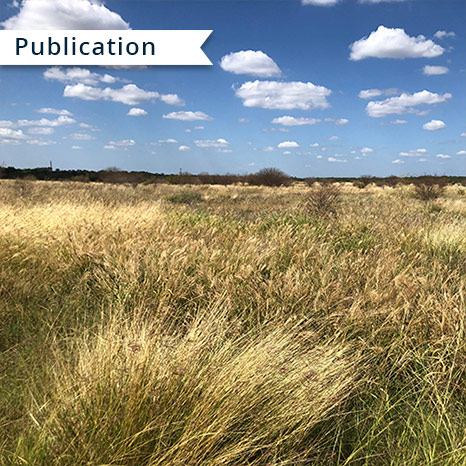 Land Management | Texas A&M AgriLife Learn