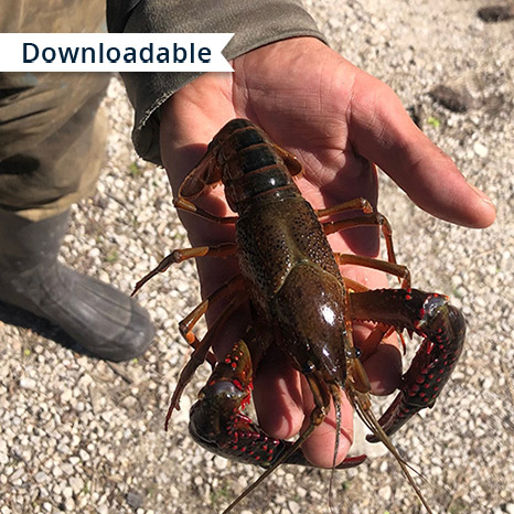 Business Development | Texas A&M AgriLife Learn