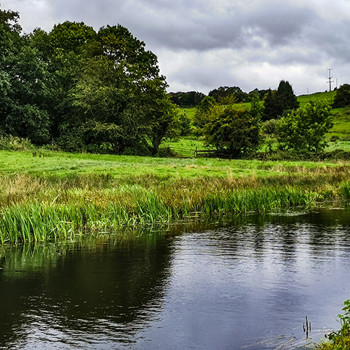 A Landowner's Guide: Aquatic Site Visits | Publications | AgriLife Learn