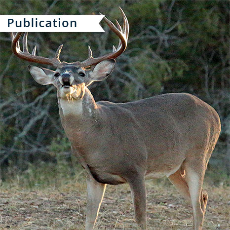 Publications | Texas A&M AgriLife Learn