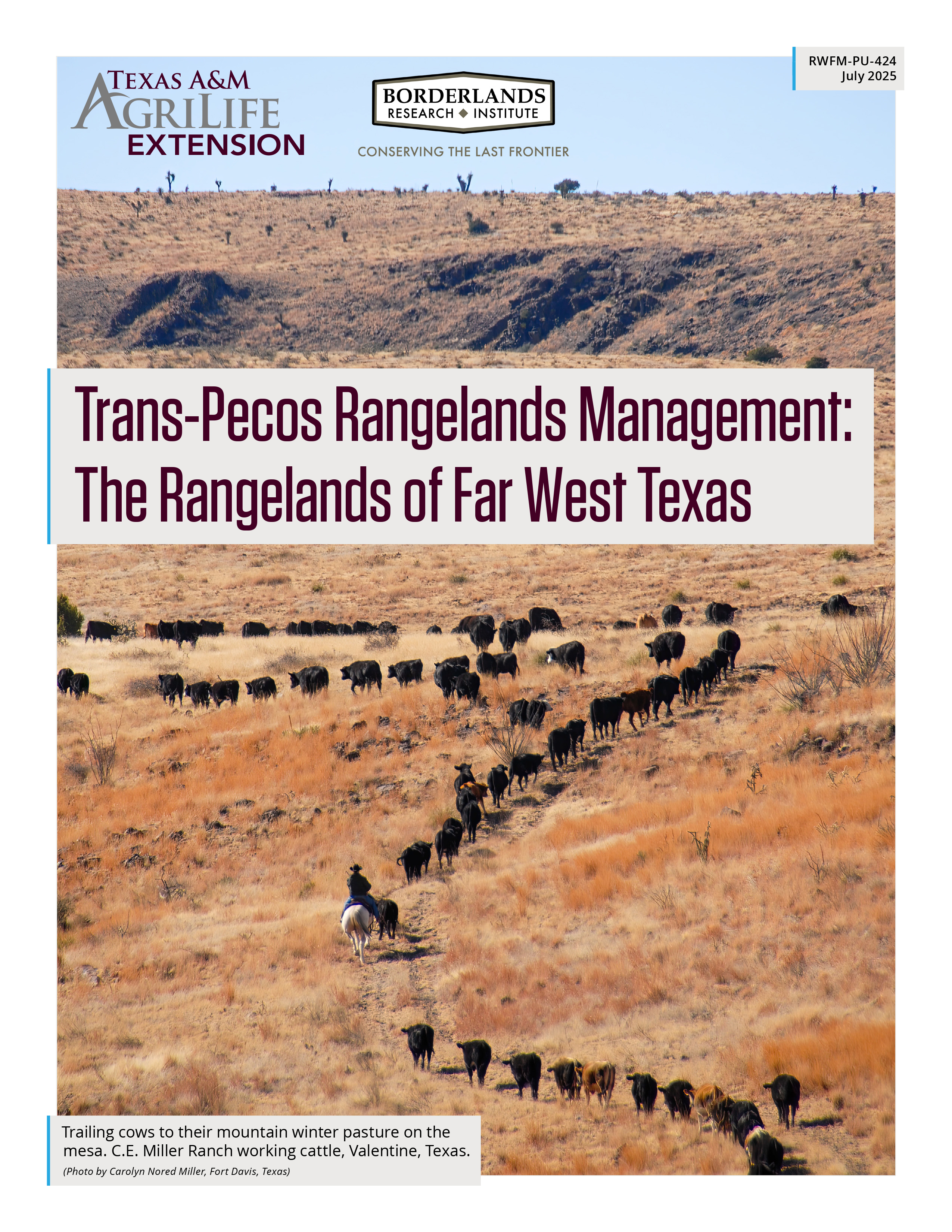 Trans-Pecos Rangelands Management: The Rangelands of Far West Texas ...