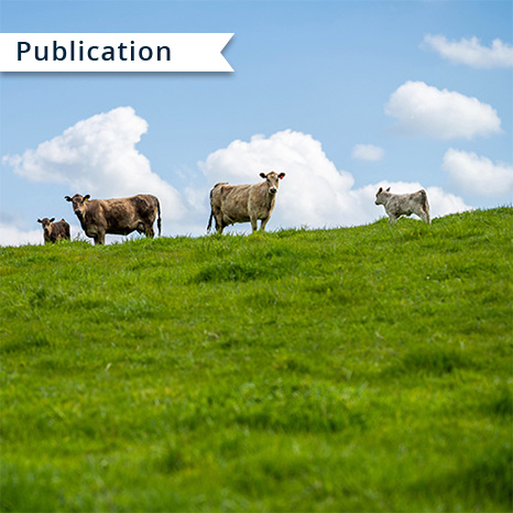 Animals & Livestock | Texas A&M AgriLife Learn