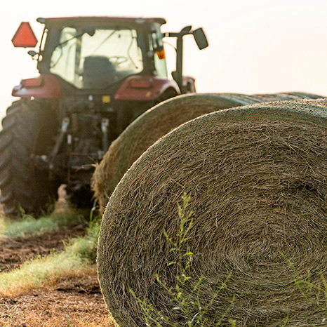 LearnNow: Ranch Management University | Courses | AgriLife Learn