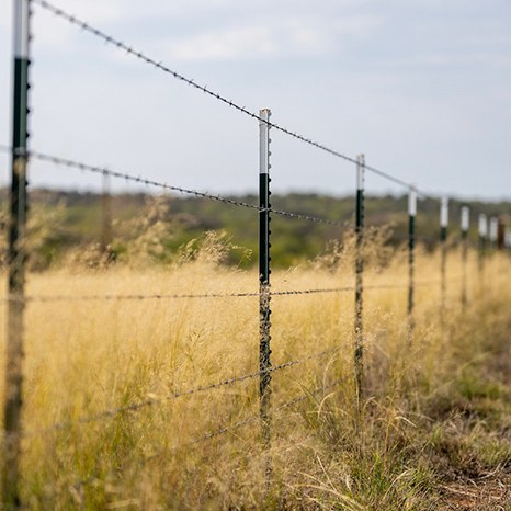 LearnNow: Ranch Management University | Courses | AgriLife Learn